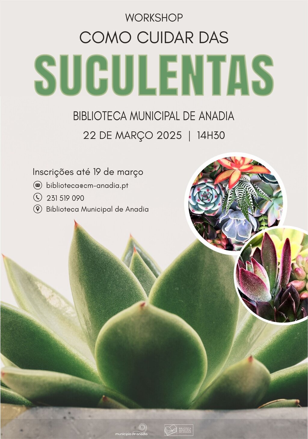 Biblioteca de Anadia recebe workshop “Como cuidar das suculentas ...