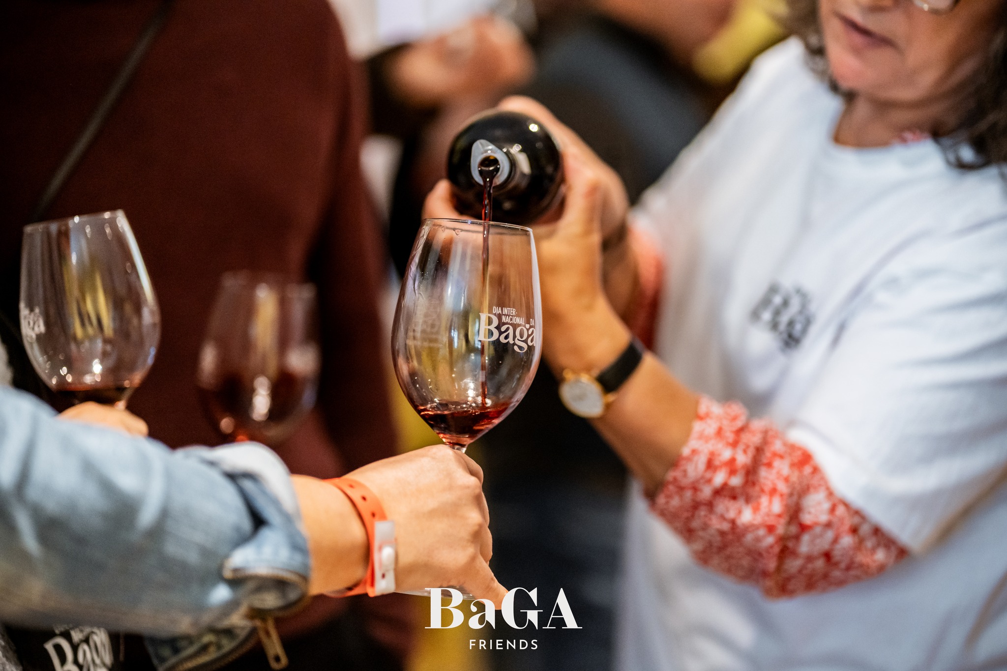 Dia Internacional da Baga volta a celebrar a casta rainha com novas ...